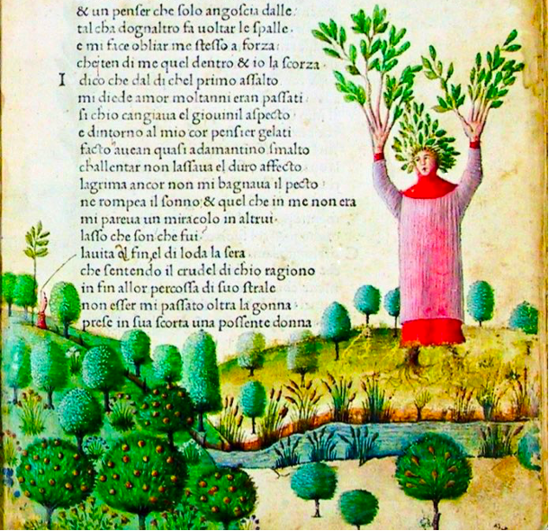 Early Modern Conversations in Ecology | Centre for Early Modern Studies